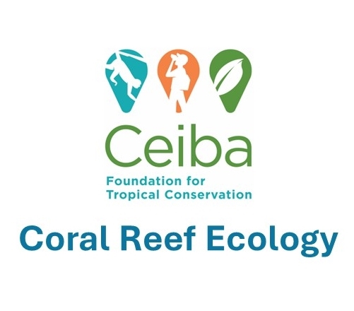 Introduction to Coral Reefs
