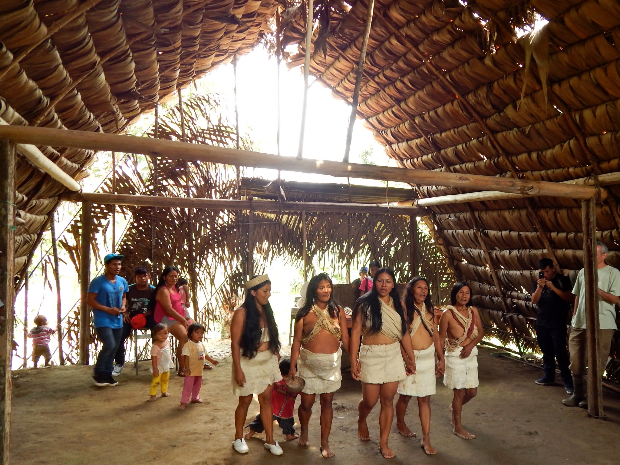 Celebrating Ecuador's (bio)Diversity: the Coast, Andes, Amazon, and ...