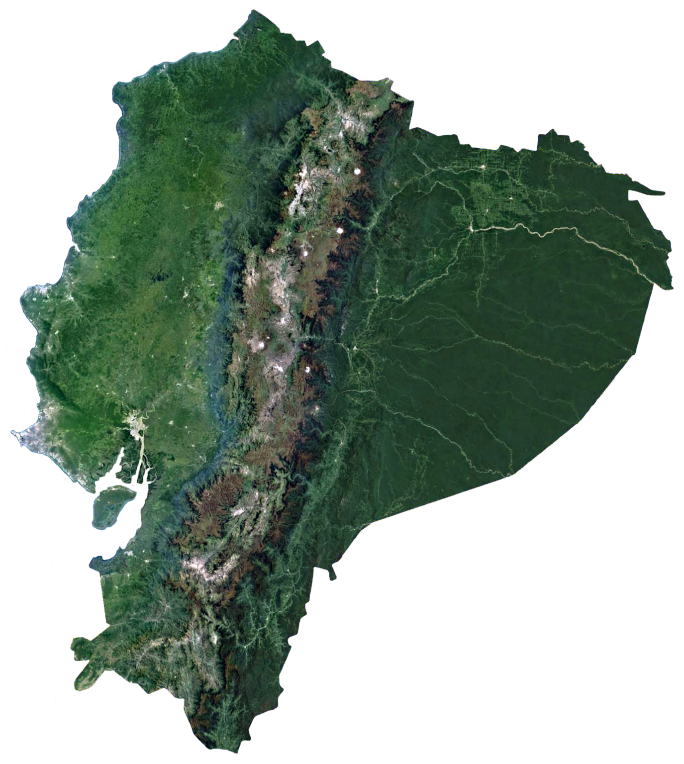 Ecuador satellite - transparent • Ceiba Foundation