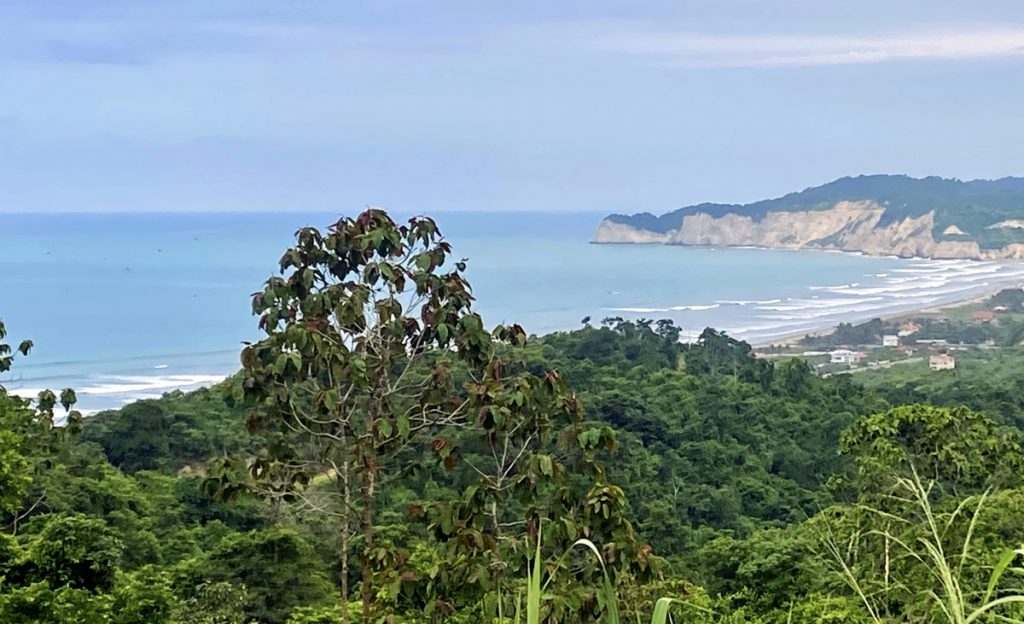 More Forest Under Protection • Ceiba Foundation