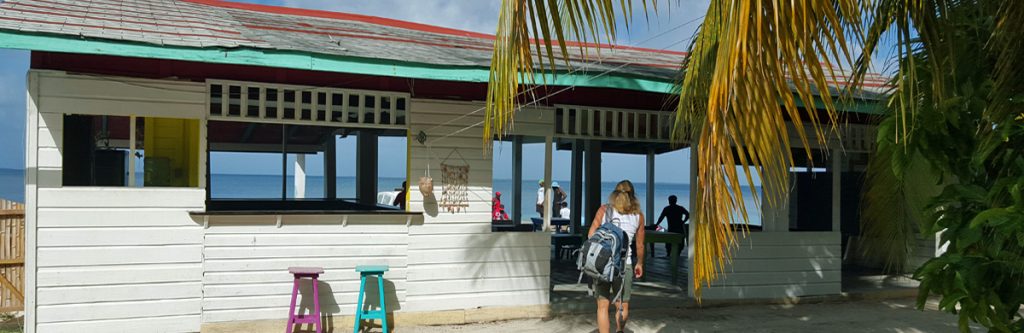 Marine_Biology_banner_1200x • Ceiba Foundation