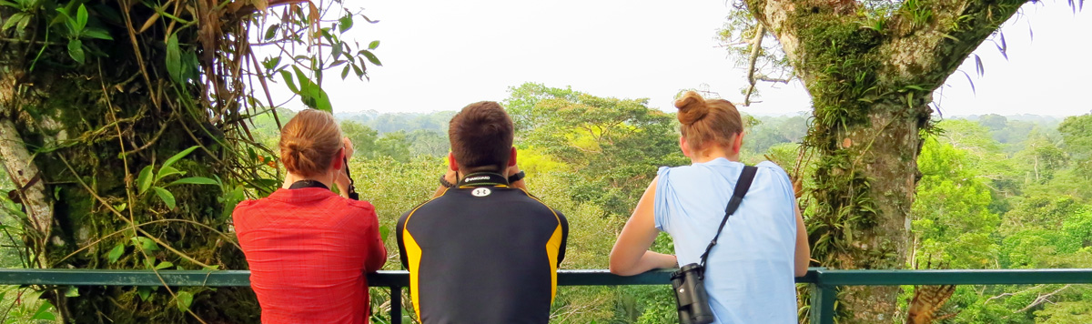 TCS Banner 1 • Ceiba Foundation